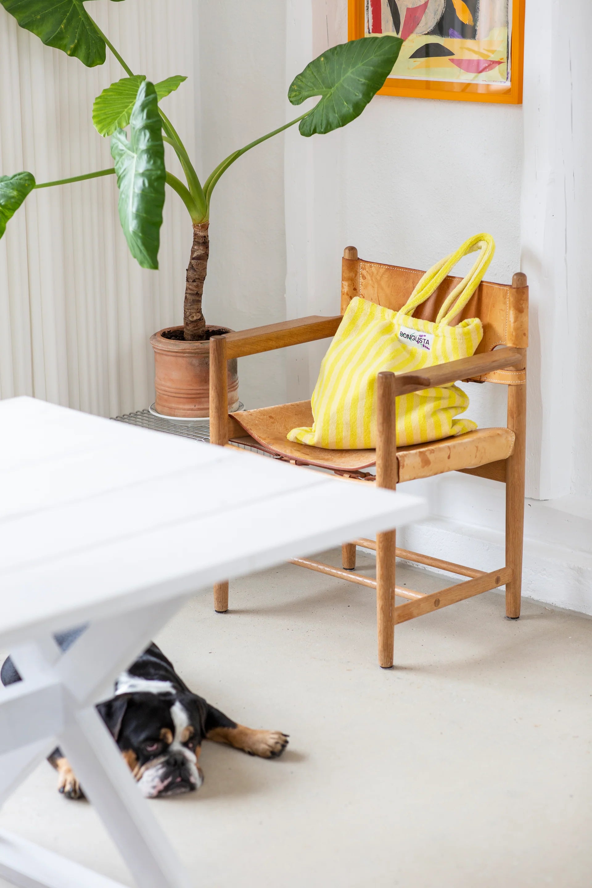 Sun is back – Fleux