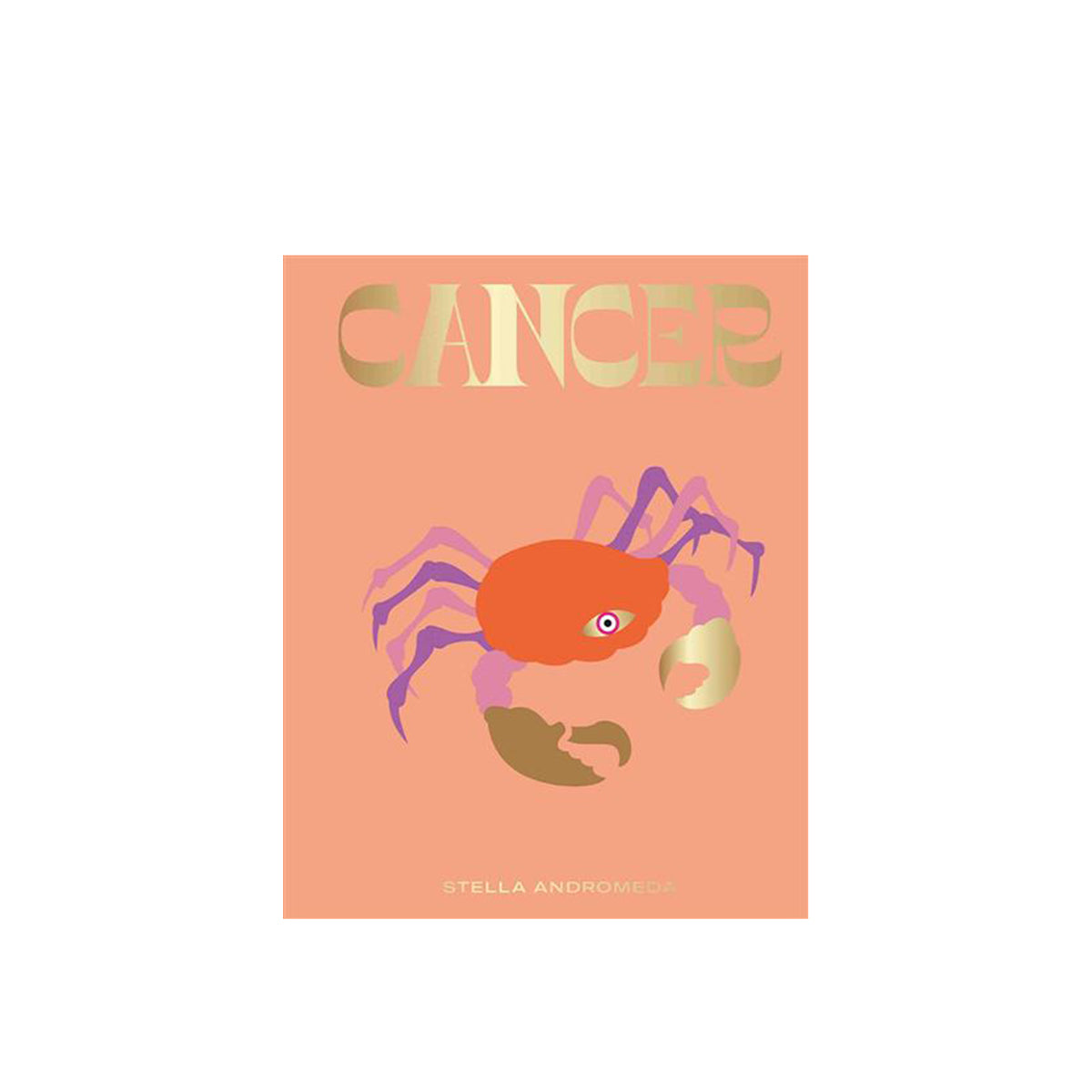 Cancer astrology book L 16 x 12 cm / 112 pages - hatchet | flowers – Fleux