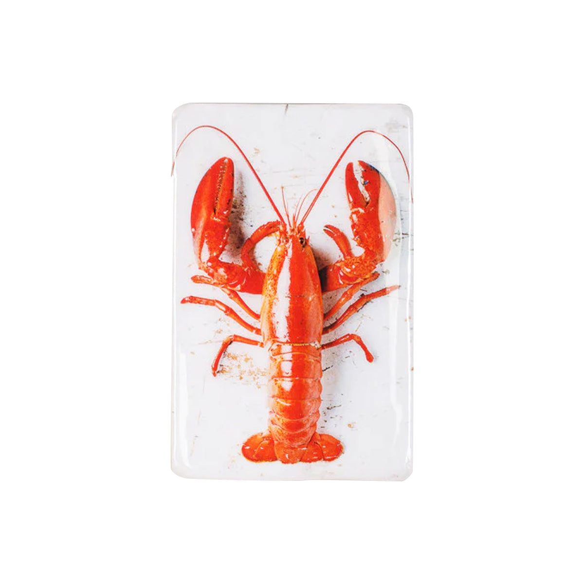 decoration murale homard rouge sur fond blanc - 20 x 29 cm ...