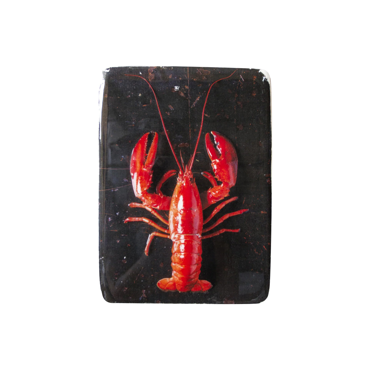 decoration murale homard rouge sur fond noir - 20 x 29 cm - stigerwoods ...